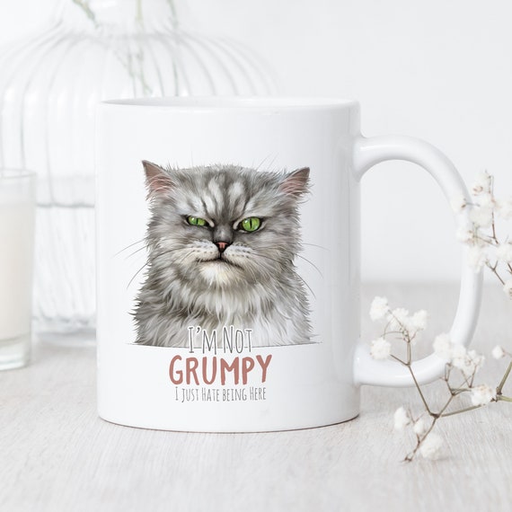 Grumpy Cat Hates Work