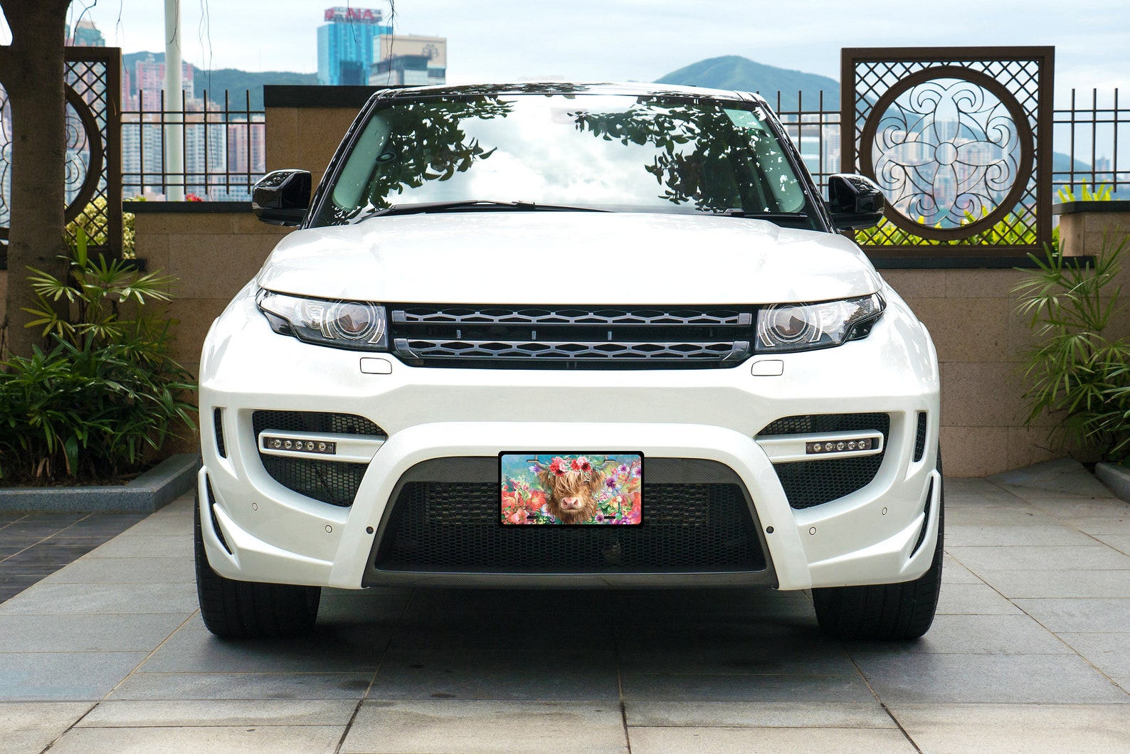 Highland Cow License Plate Highland Cow Art License Plate - Etsy