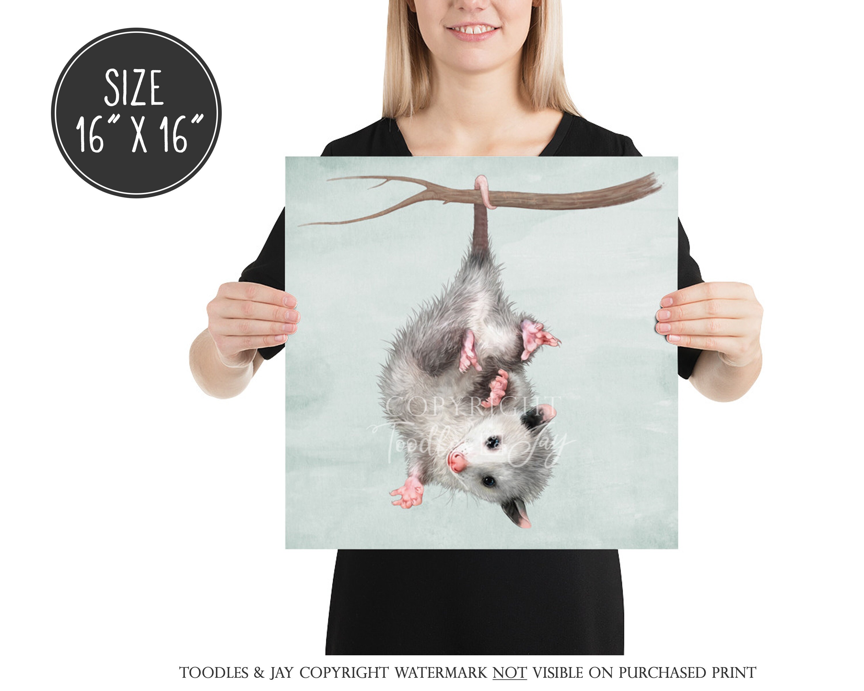 Cute Possum Art Print • Possum Hanging From Branch Painting • Cute ...