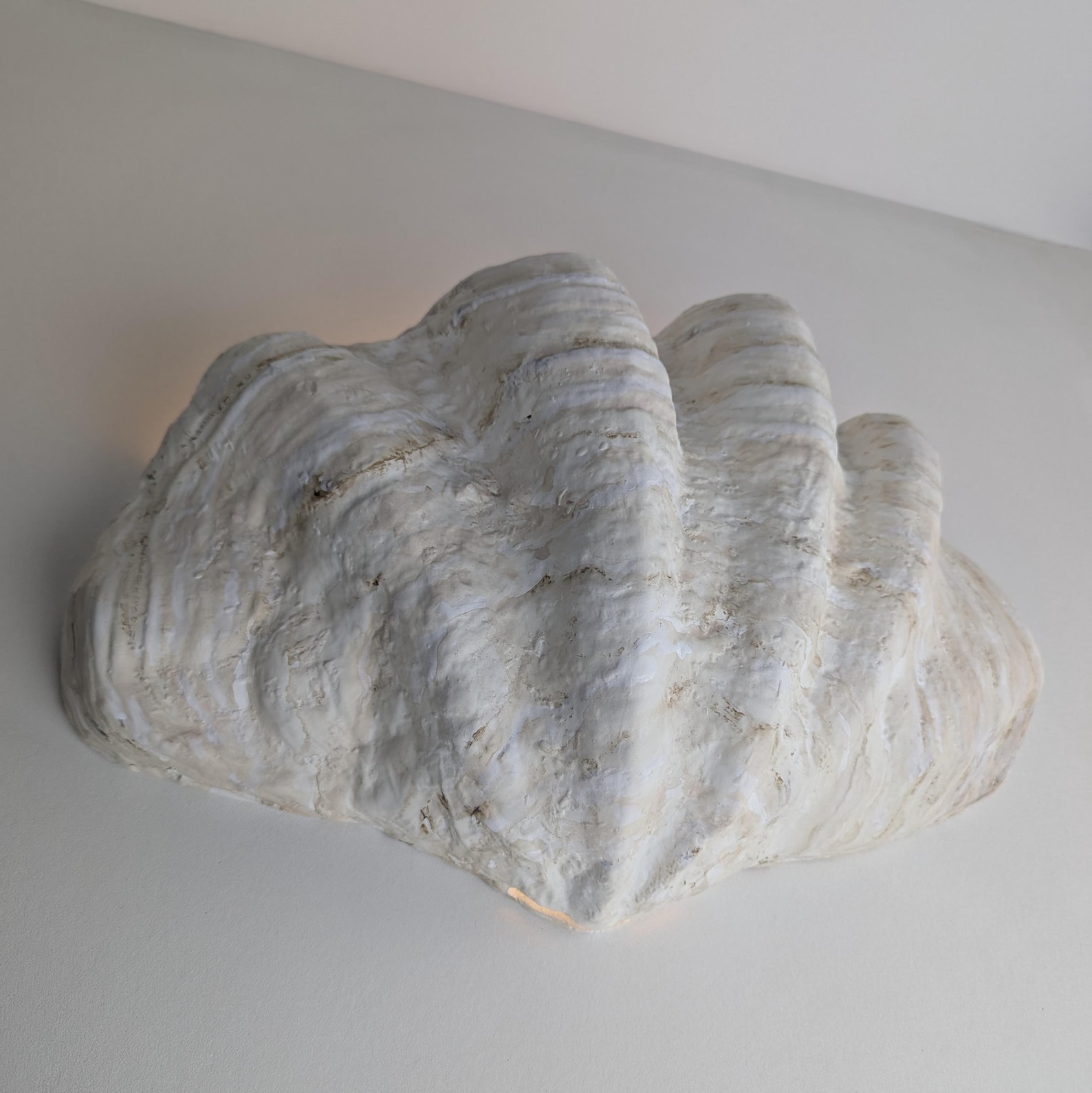Shell Sconce Giant Clam Shell Ceramic Wall Lighting Nautical Wall ...