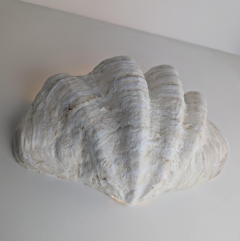 Shell Sconce Giant Clam Shell Ceramic Wall Lighting Nautical Wall ...