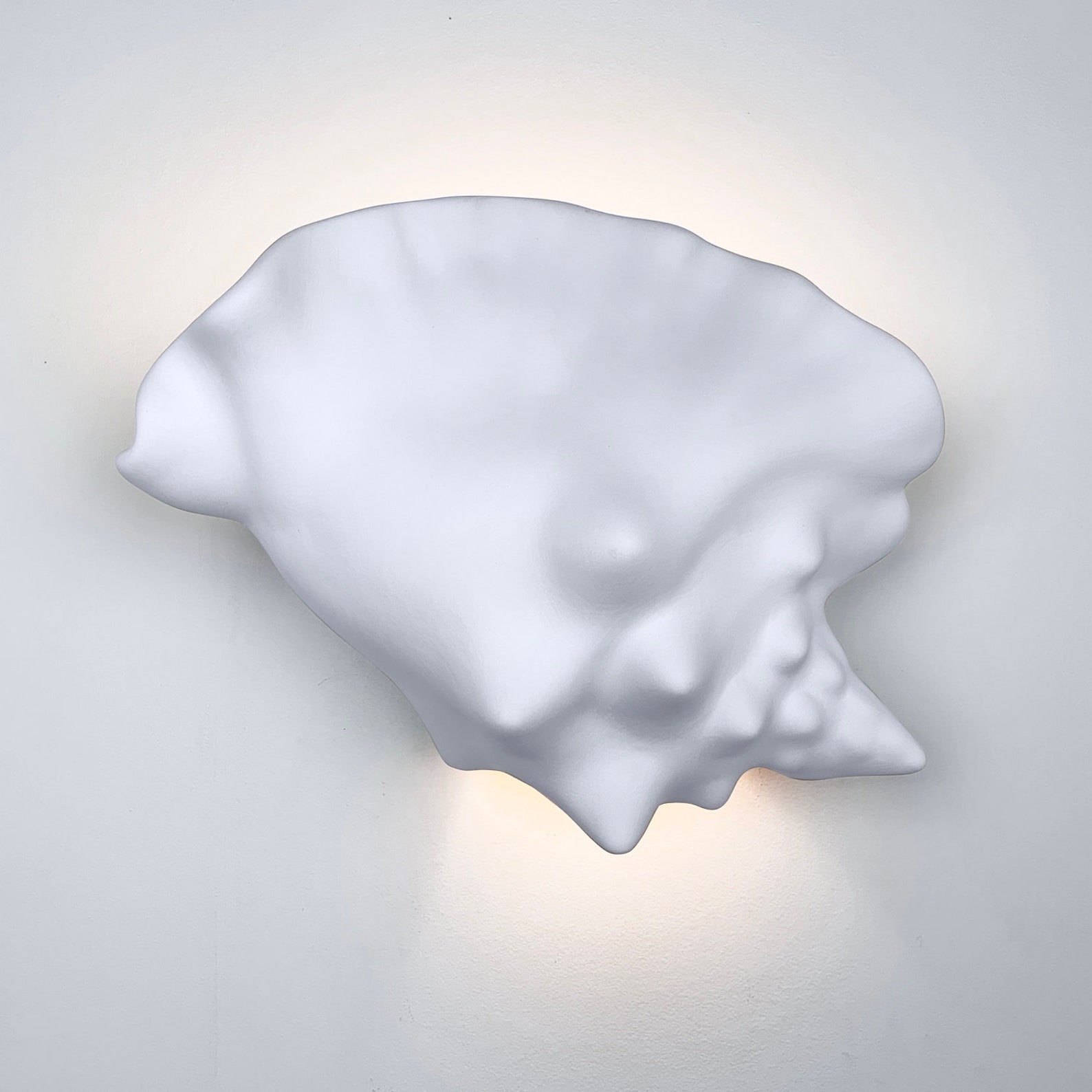 Shell Sconce Conch Shell Ceramic Wall Lighting Coastal Lighting Wall ...