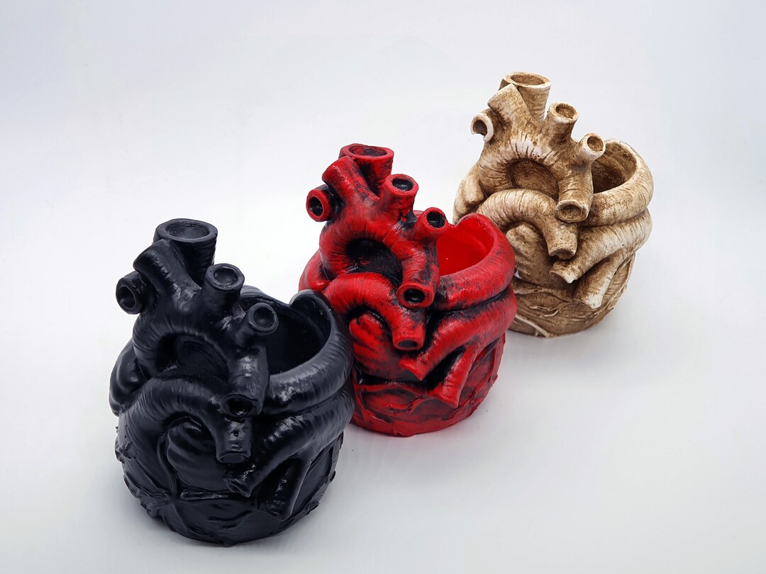 Anatomical Human Heart Replica Realistic Gothic Goth Macabre Home Decor ...