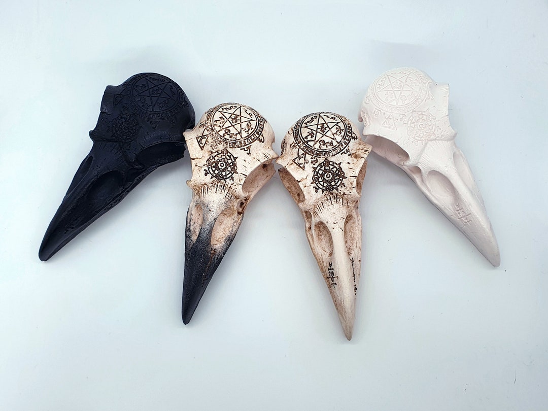 Wall 3D Decor Decoration Crow Raven Bird Skull Replica Realistic ...