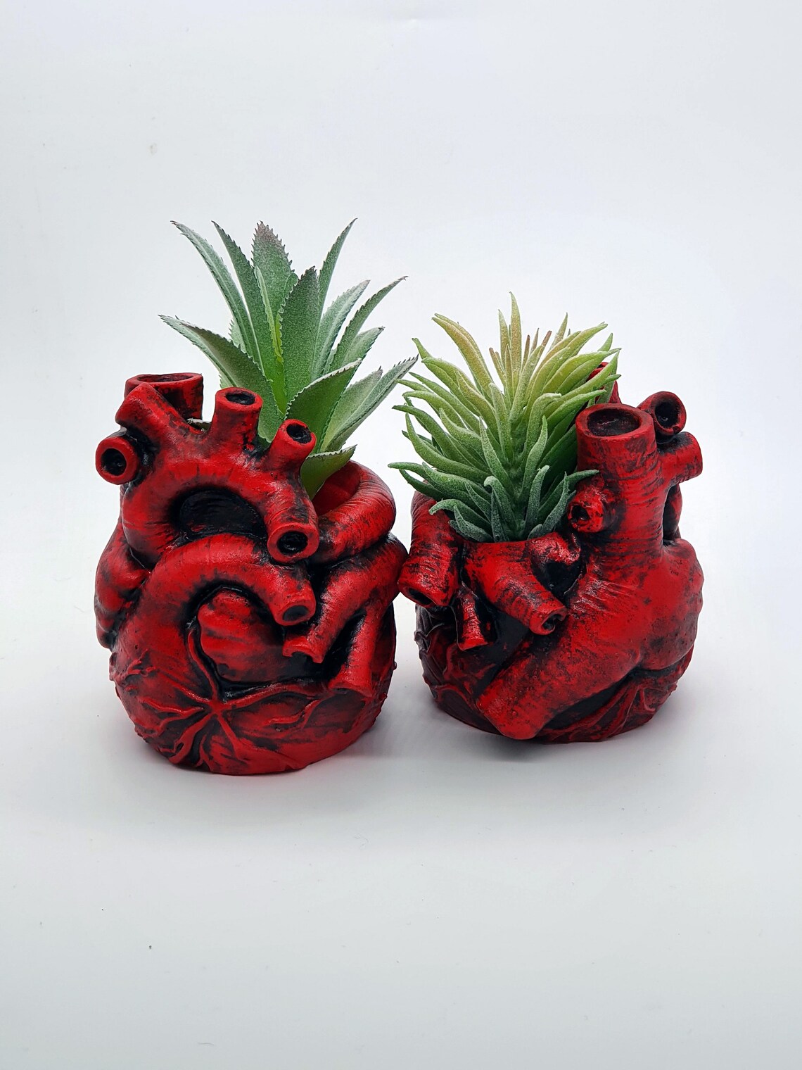 Anatomical Human Heart Replica Realistic Gothic Goth Macabre - Etsy