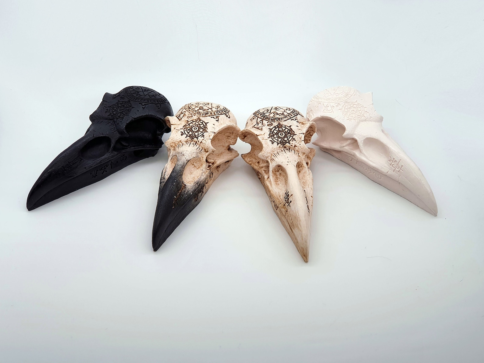 Wall 3D Decor Decoration Crow Raven Bird Skull Replica Realistic ...