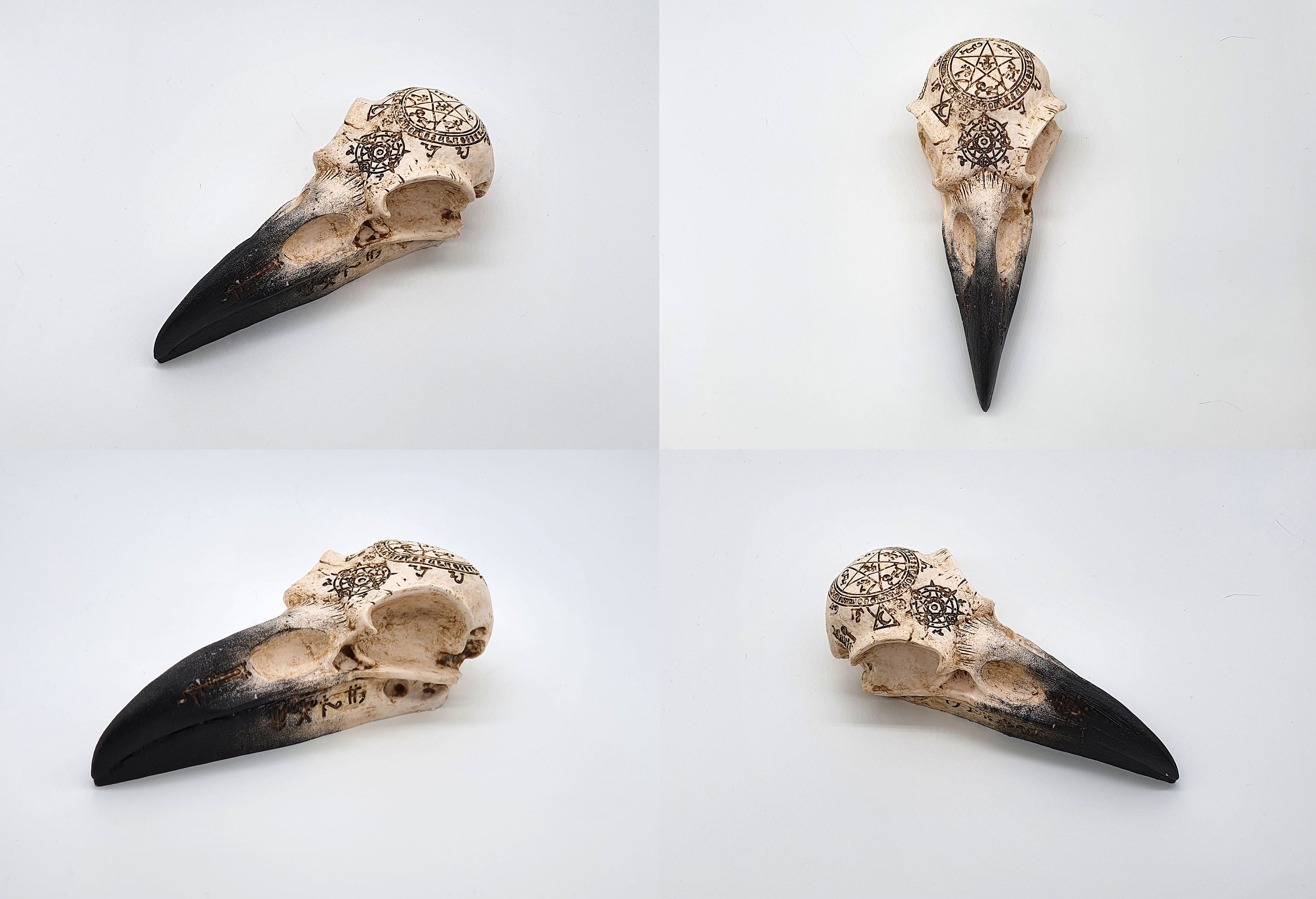 Wall 3D Decor Decoration Crow Raven Bird Skull Replica Realistic ...
