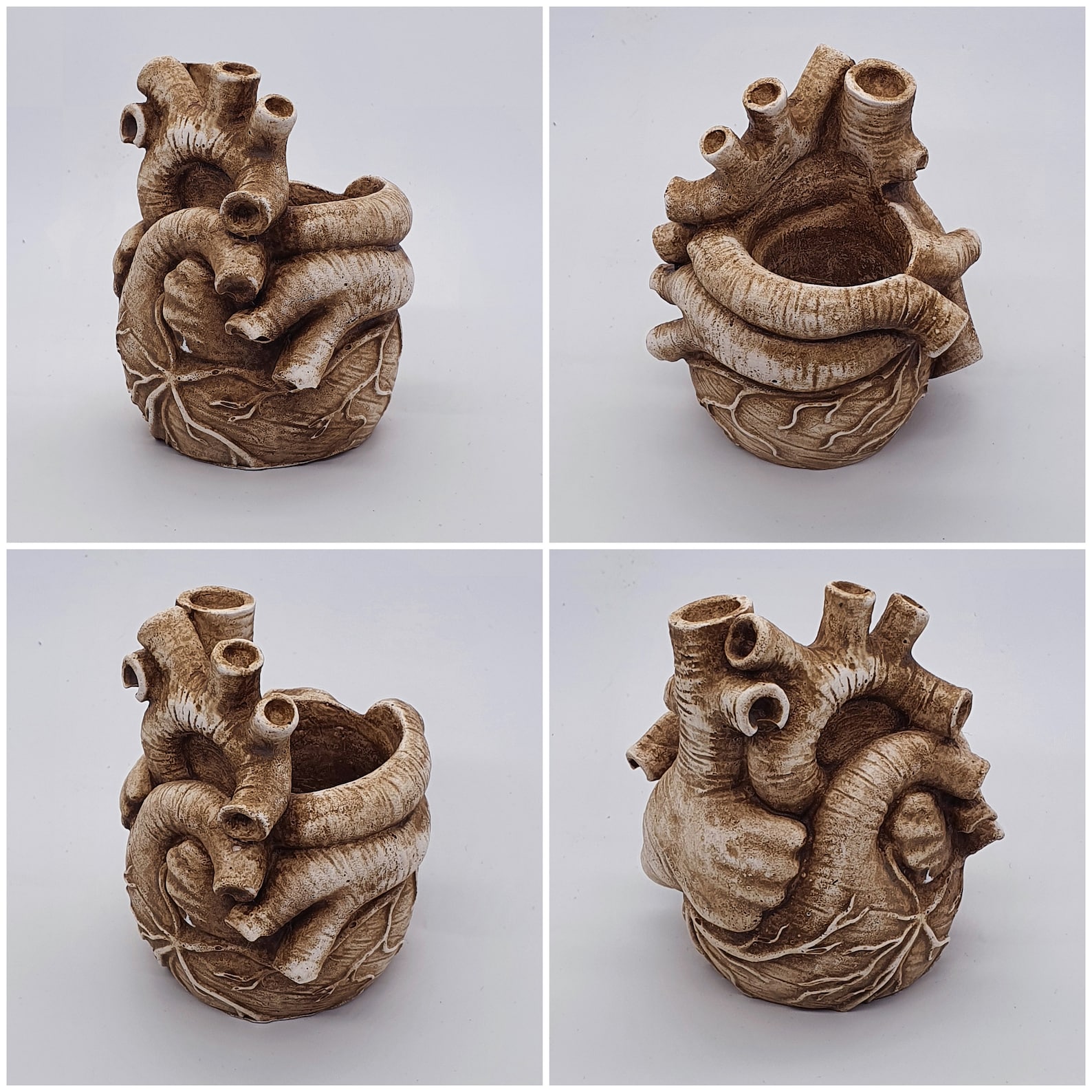 Anatomical Human Heart Replica Realistic Gothic Goth Macabre - Etsy