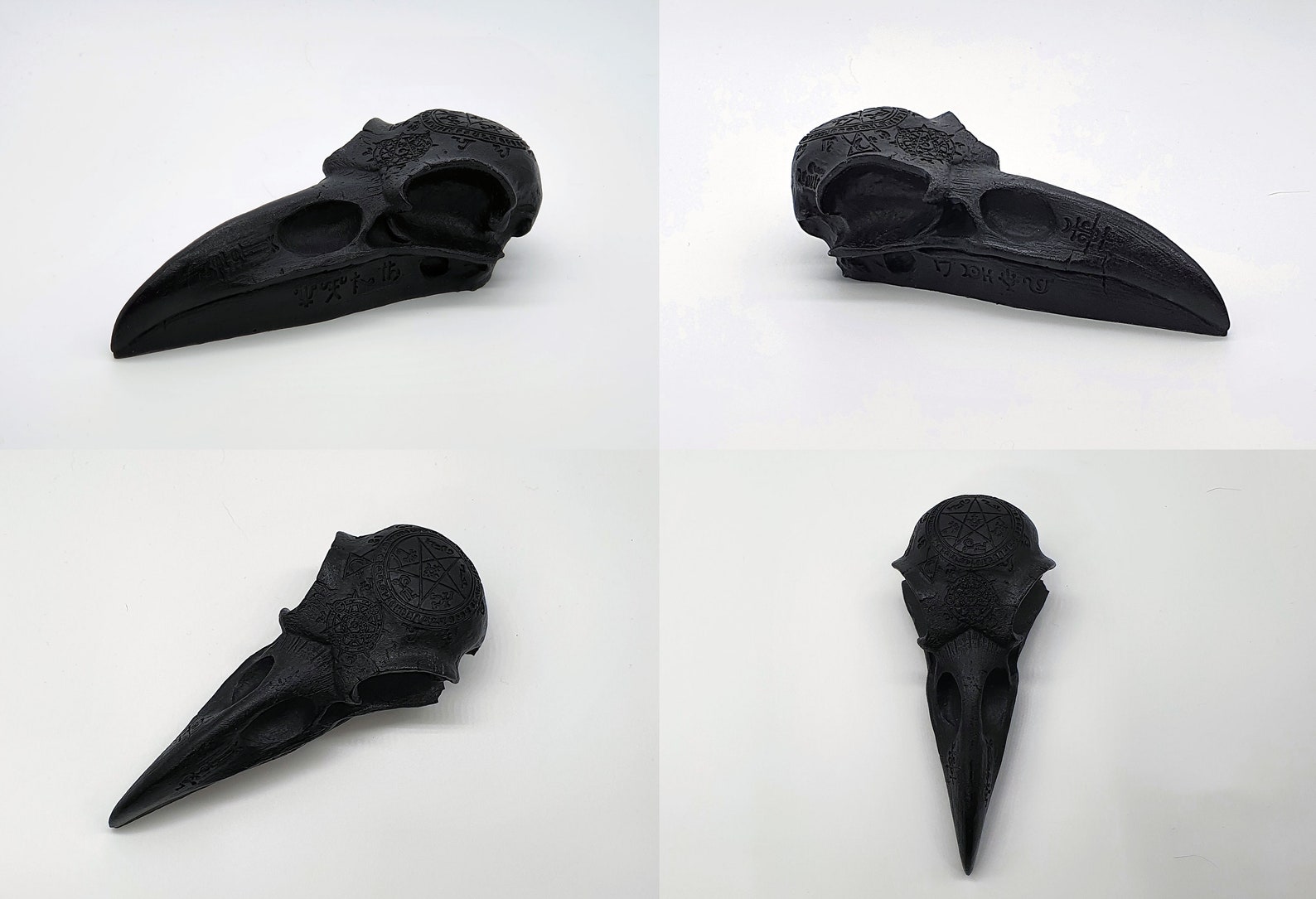 Wall 3D Decor Decoration Crow Raven Bird Skull Replica Realistic ...