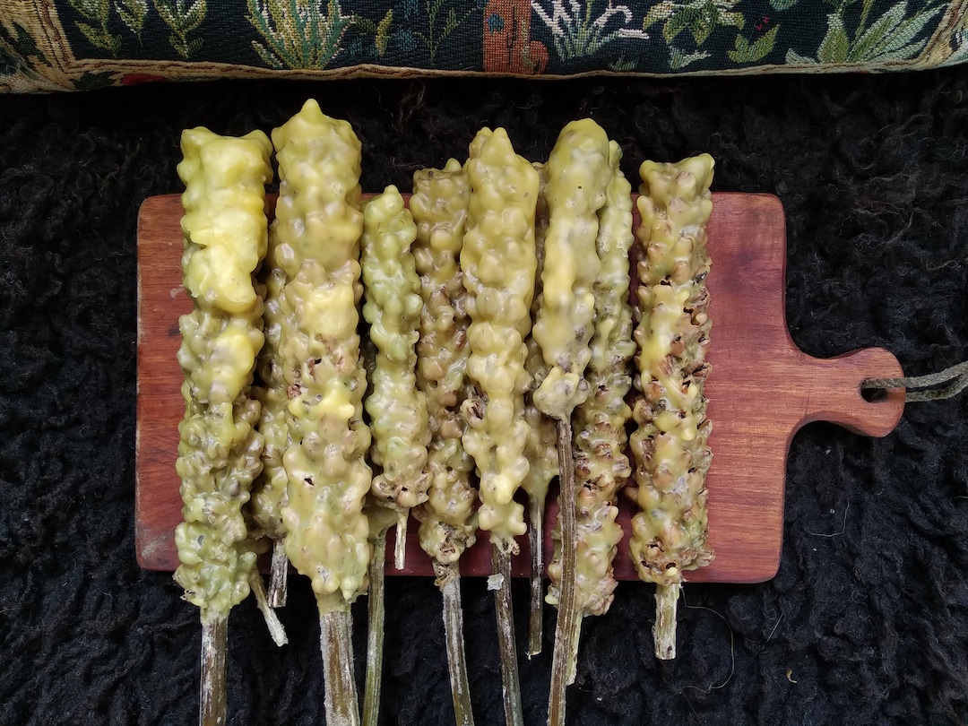 Mullein Torch Candle Beeswax - Etsy