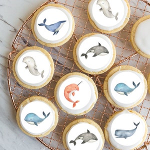 Edible Whale Cupcake Toppers Whale Toppers Under the Sea - Etsy