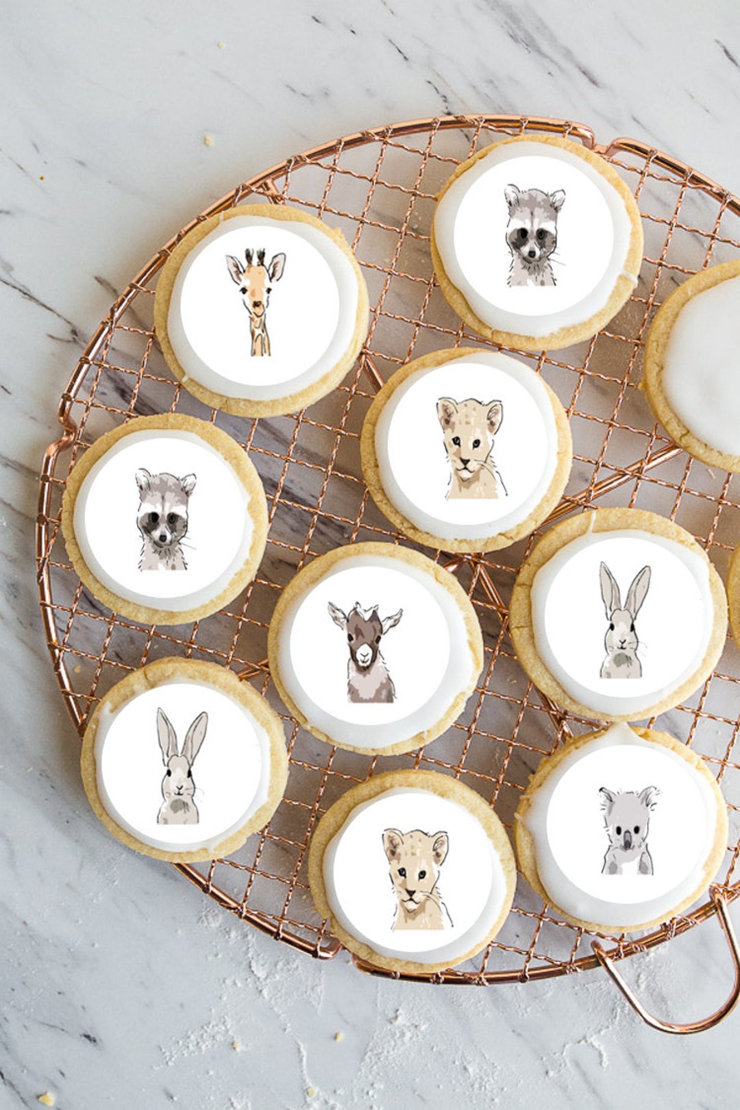 Edible Cute Animal Cupcake Toppers, Zoo Animals Cupcake Toppers, Zoo ...