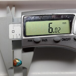 Spiny Oyster Copper (mohave) Turquoise 6x6mm & 8x8mm Trillion Flat Back ...