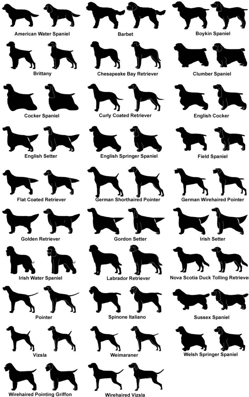 Sporting Dog Breed Silhouette Bundle, Solid and Detailed Svg Png Dxf ...
