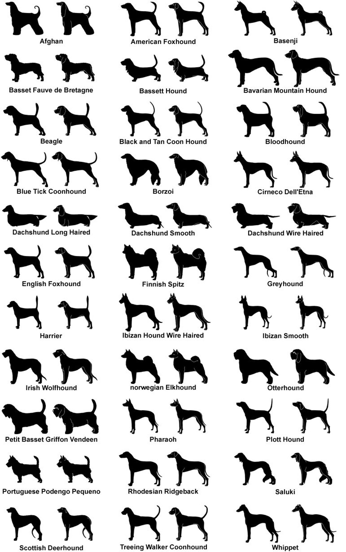 Hound Dog Breed Silhouette Bundle, Solid and Detailed Svg Png Dxf Eps ...