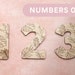 Tropical Leaves Number SVG Laser Cut File Laser Engraved - Etsy