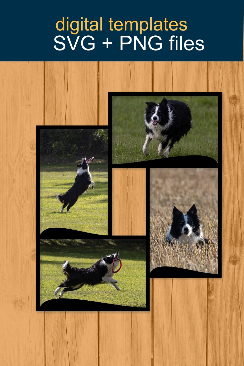 4 Picture Collage Frame Bundle SVG Files for Cricut and PNG - Etsy