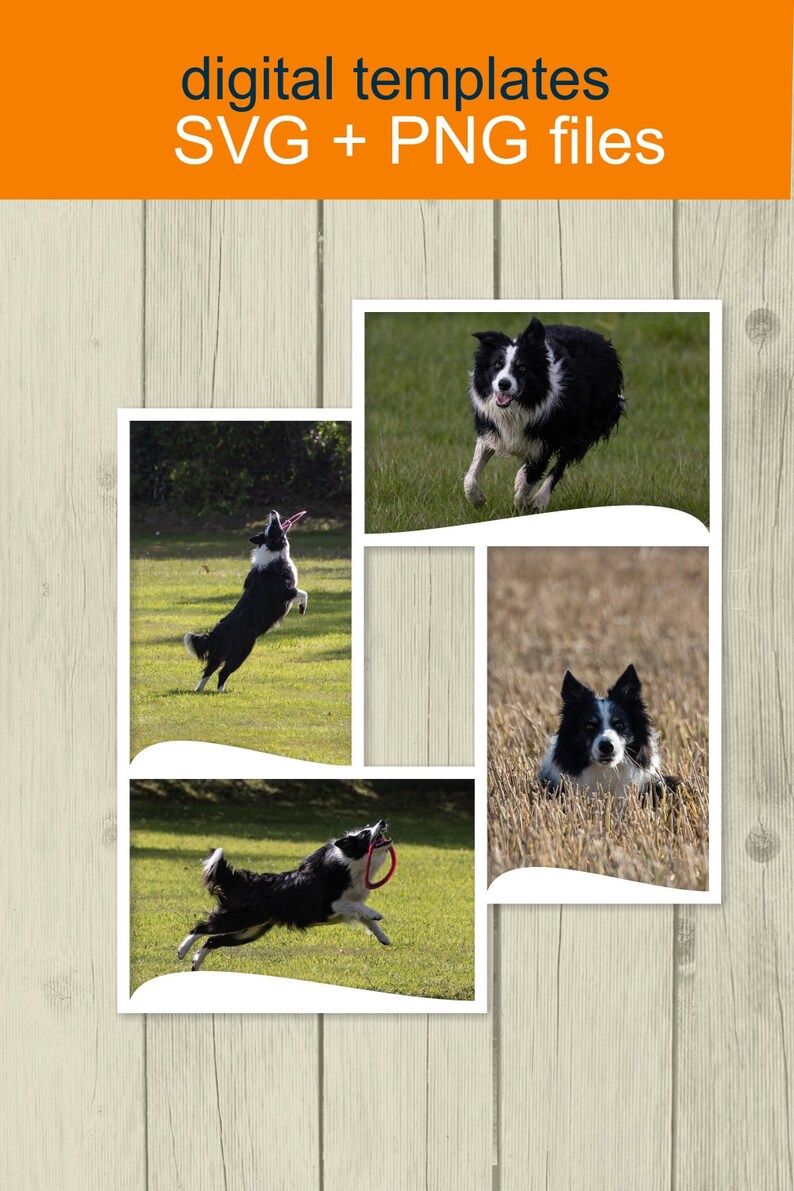 4 Picture Collage Frame Bundle SVG Files for Cricut and PNG | Etsy