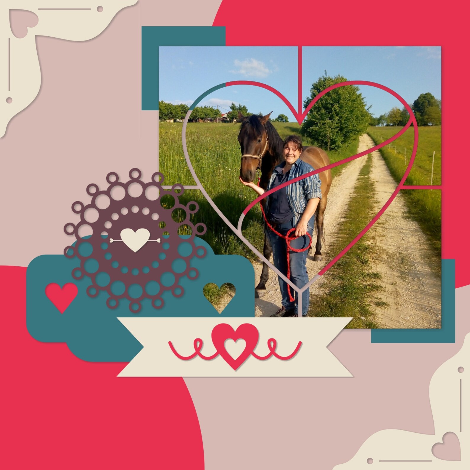 Banner SVG, PNG. Basic Banner Shapes Bundle, Cut Files for Cricut or ...