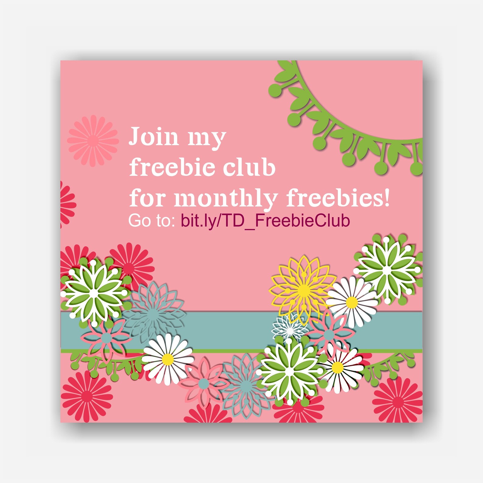 5 Picture Collage Frames Bundle, SVG Files for Cricut and Png Black ...