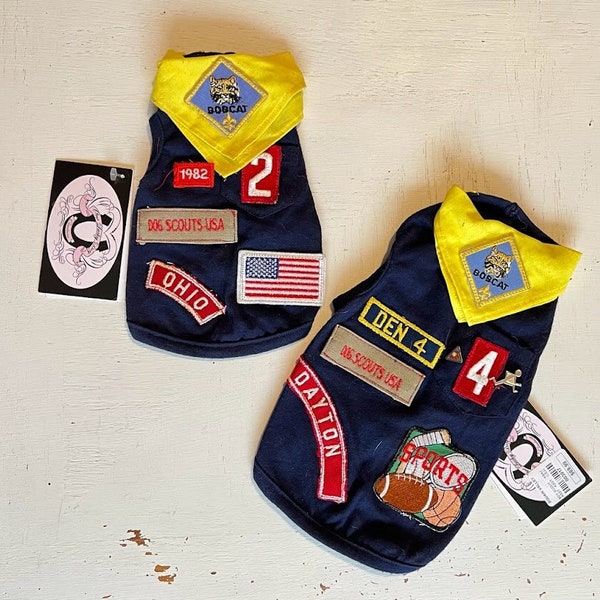 Boy Scout Pin - Etsy