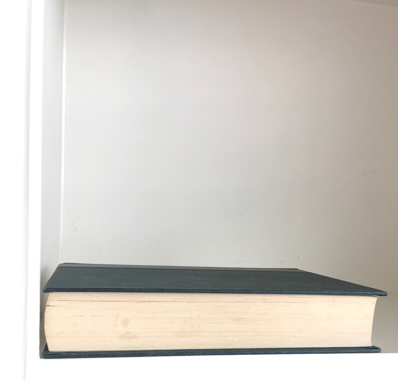 Bred To Win by William Kinsolving 1990's Novel | Etsy