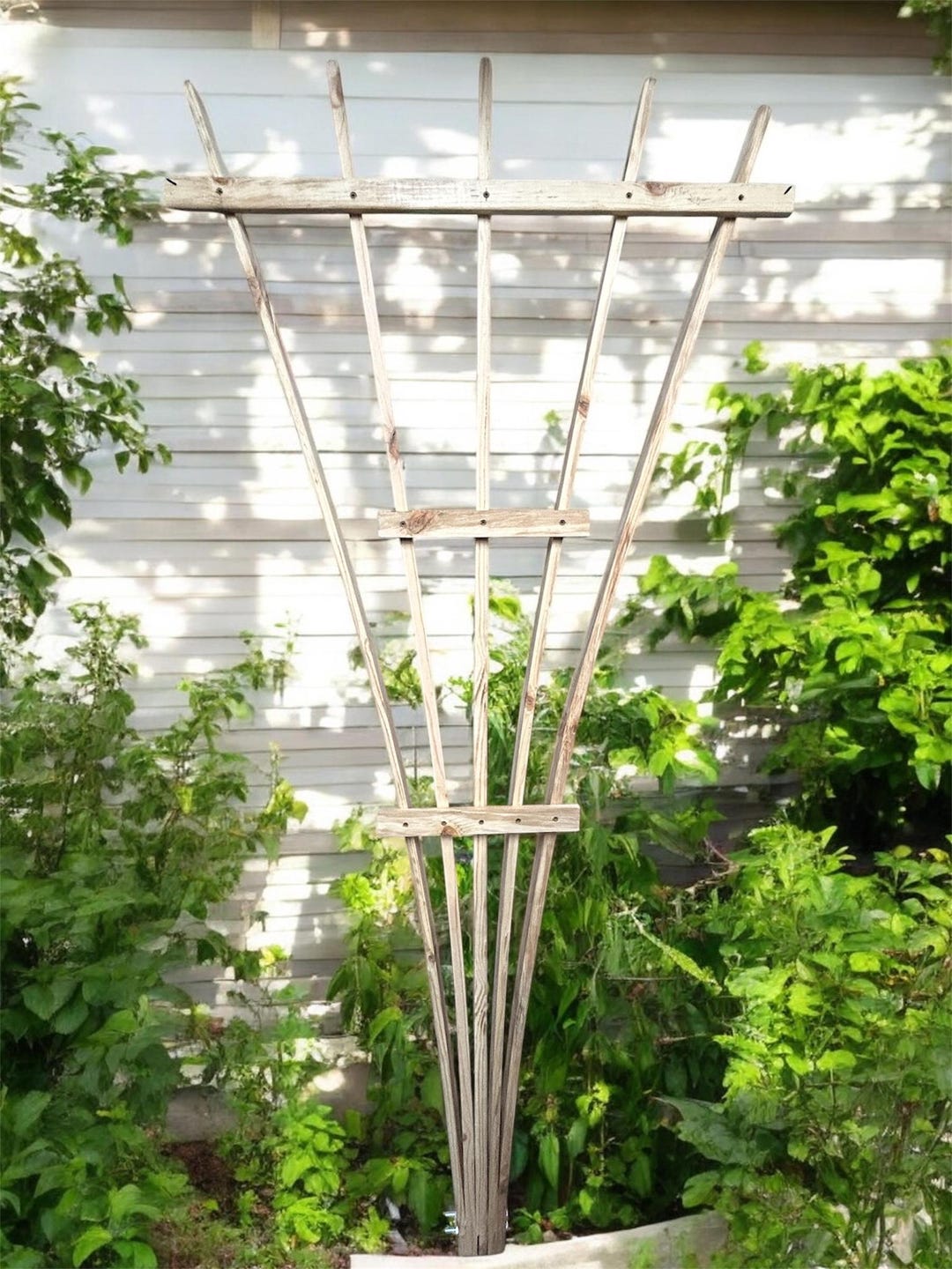 2 Pack - 6 Foot Wooden Garden Trellis – Pine Fan Strips Plant Support ...