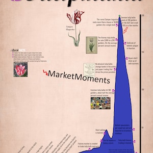 The 1637 Tulipmania ART PRINT, Tulipmania Poster, Wall Street Art, Stock Market Art, Wall Street ...