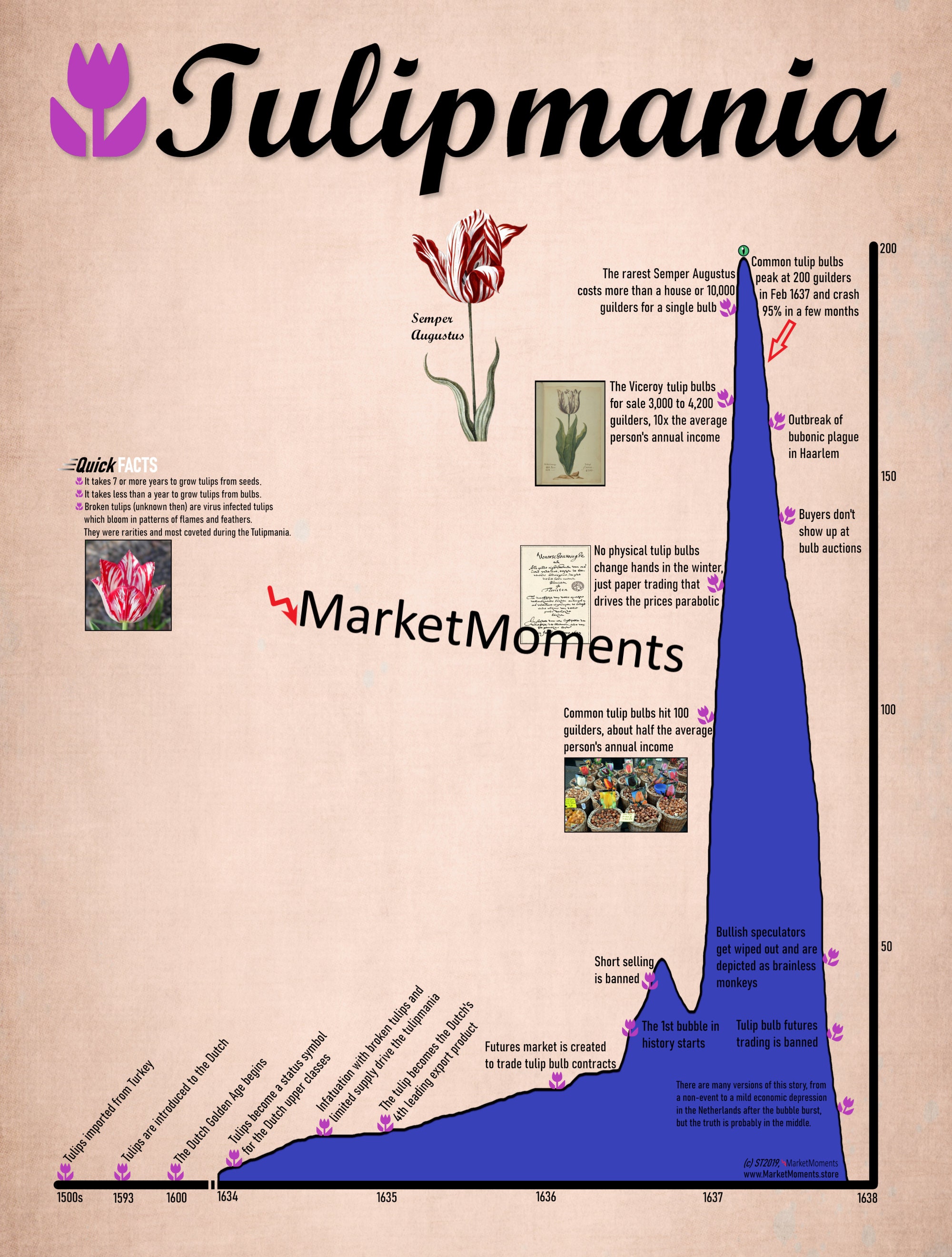 The 1637 Tulipmania ART PRINT, Tulipmania Poster, Wall Street Art ...