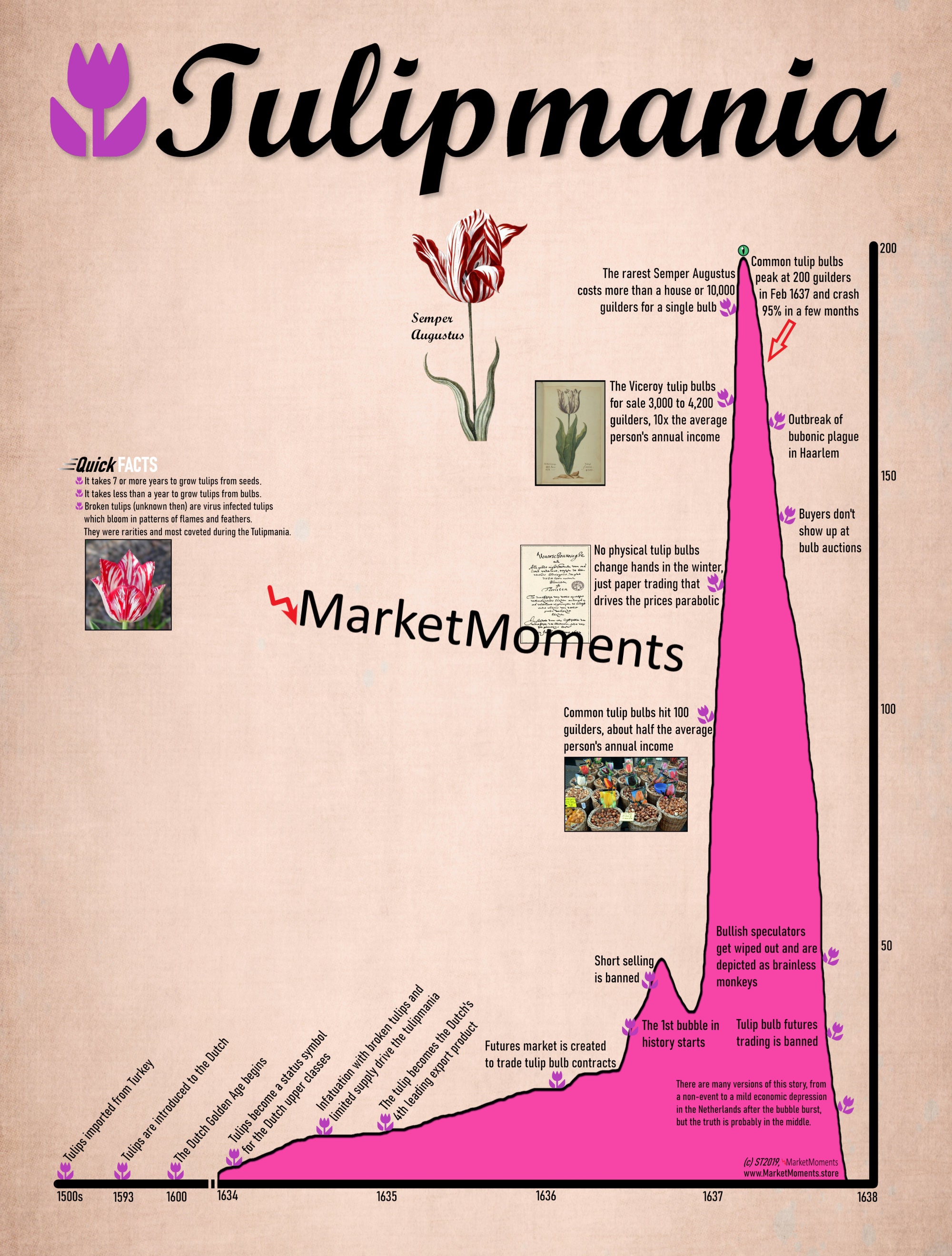The 1637 Tulipmania ART PRINT, Tulipmania Poster, Wall Street Art ...