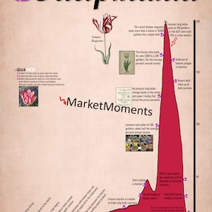 The 1637 Tulipmania ART PRINT, Tulipmania Poster, Wall Street Art ...