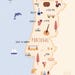 Illustrated Map of Portugal Art Print Poster Travel Map Digital ...