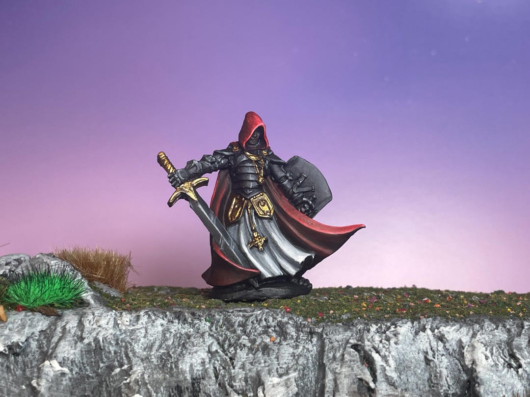 Paladin, Knight, Cleric, Fighter, Cultist - Painted Miniature - D&D ...