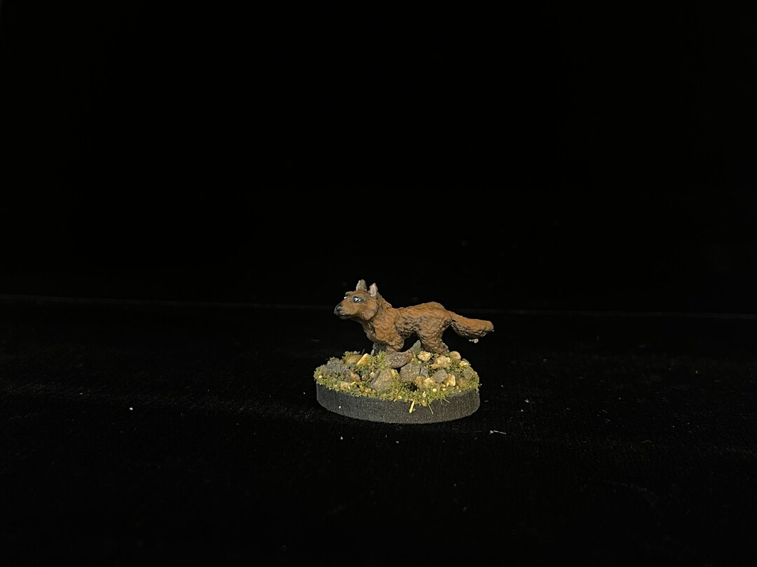 Dog, Fox, Beast, Familiar, Polymorph, Wild Shape - Painted Miniature ...
