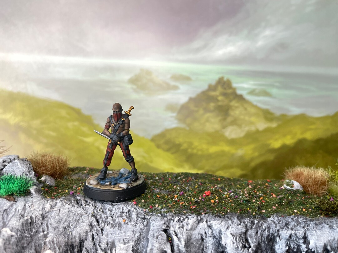 Bandit, Pirate, Fighter, Rogue, NPC, Villain Painted Miniature D&D ...