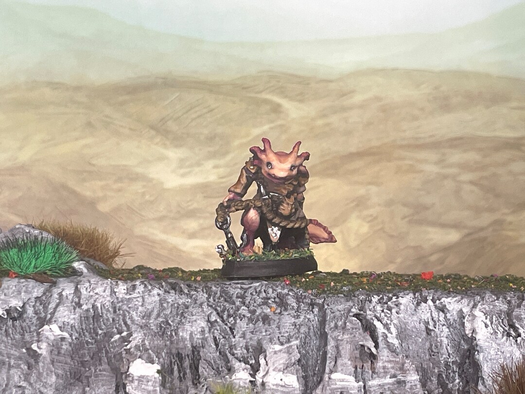 Axolotl Rogue, Ranger, Hero, Adventurer Painted Miniature D&D ...