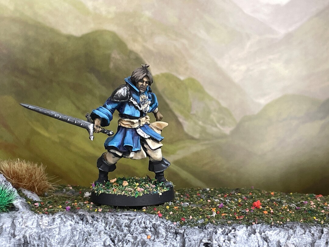 Male Fighter, Rogue, Bard, Swashbuckler, Monk, Creature Caster Victor ...