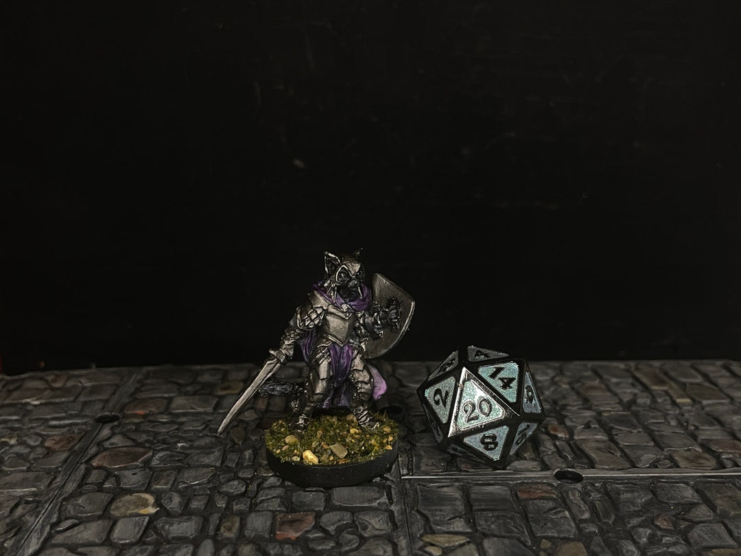 Tabaxi Fighter, Barbarian, Ranger, Cleric, Paladin, Catfolk - Painted ...
