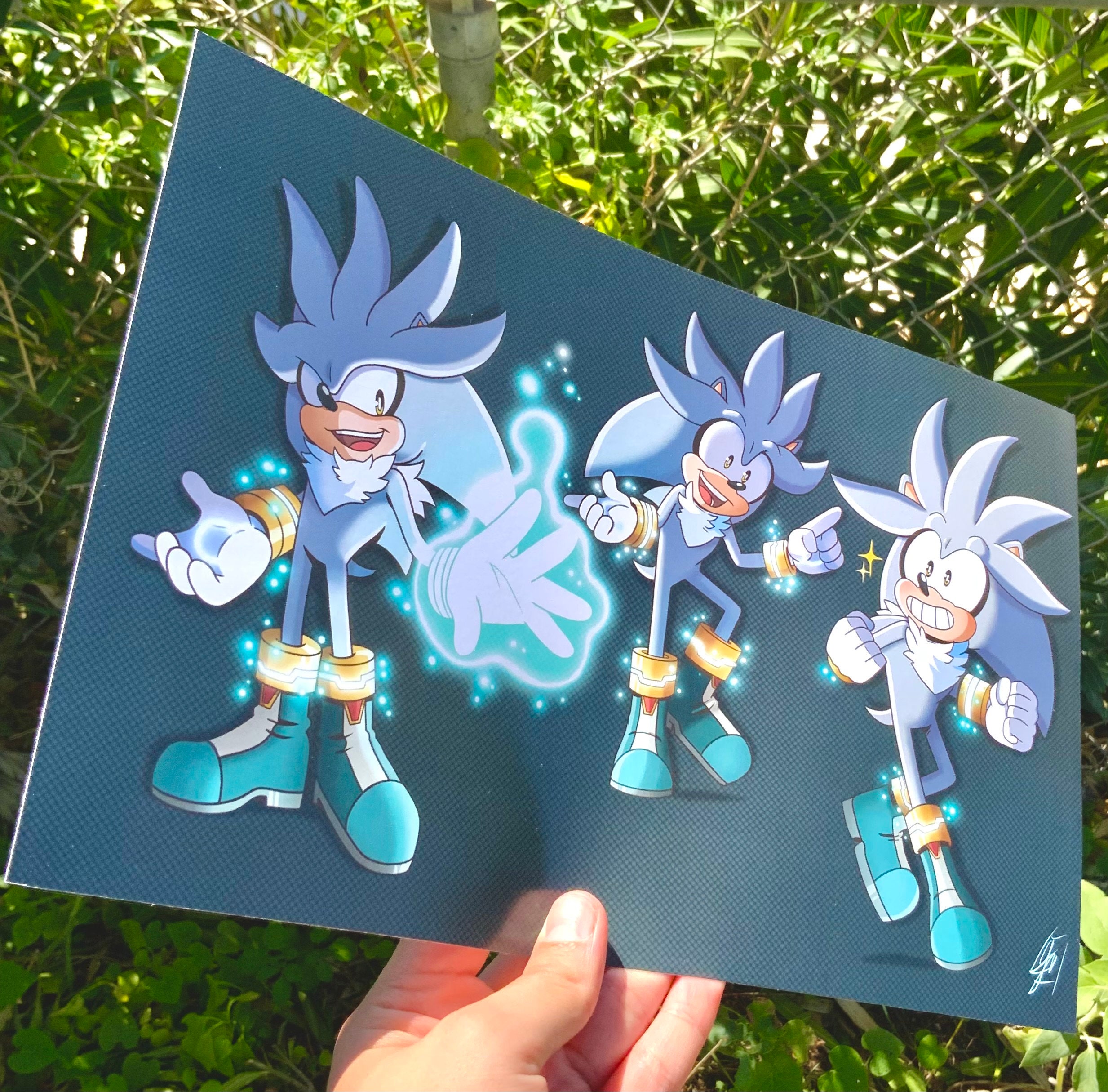 Sonic and Silver Print Bundel - Etsy