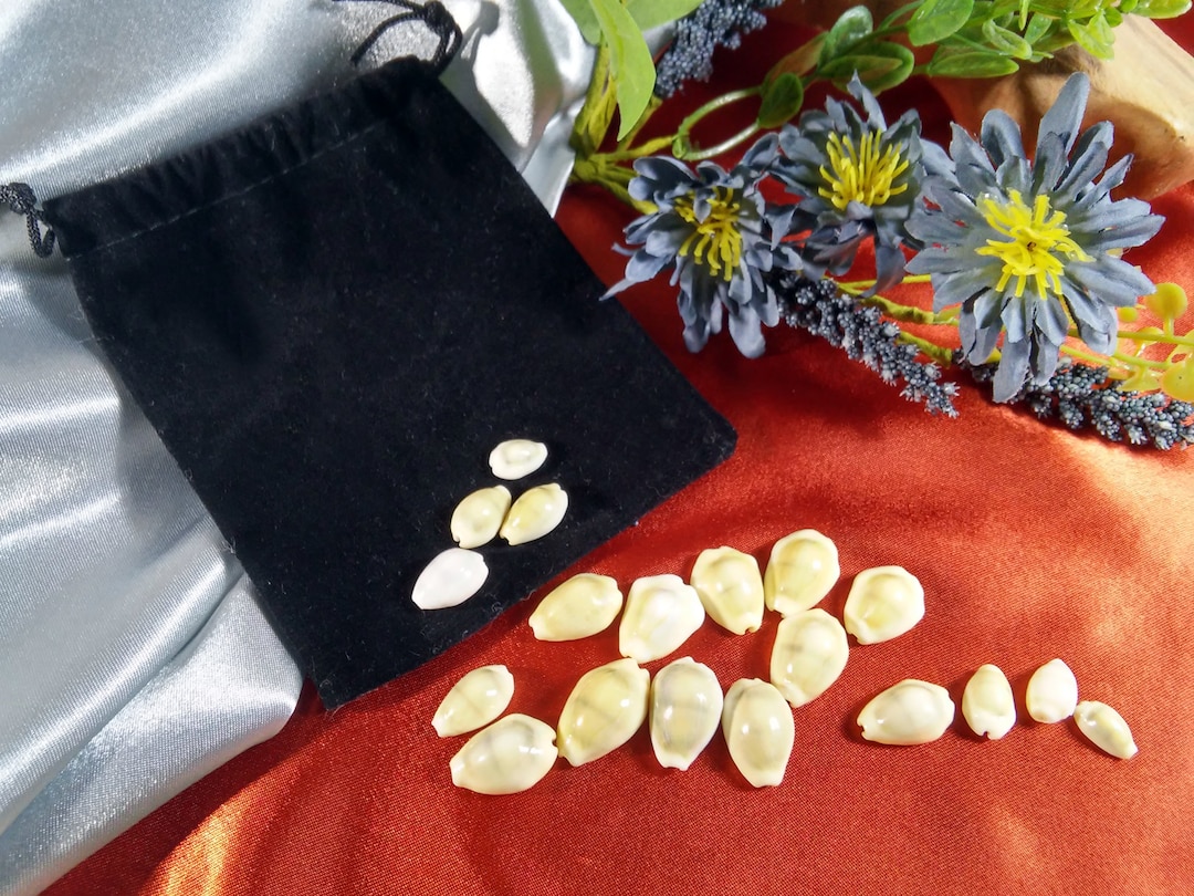 Cowrie Shell Divination Set, 18 Pieces, #20363 - Etsy