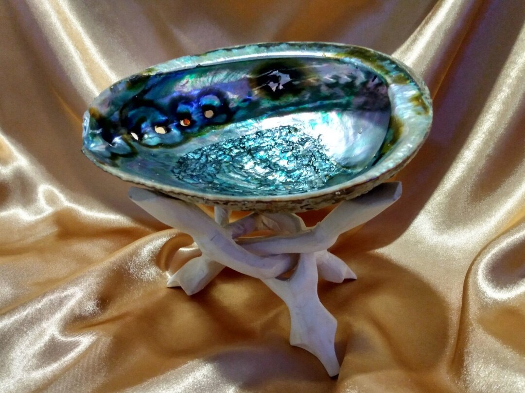 Abalone Shell Smudge Bowl With Carved Wood Stand, Incense Burner - Etsy