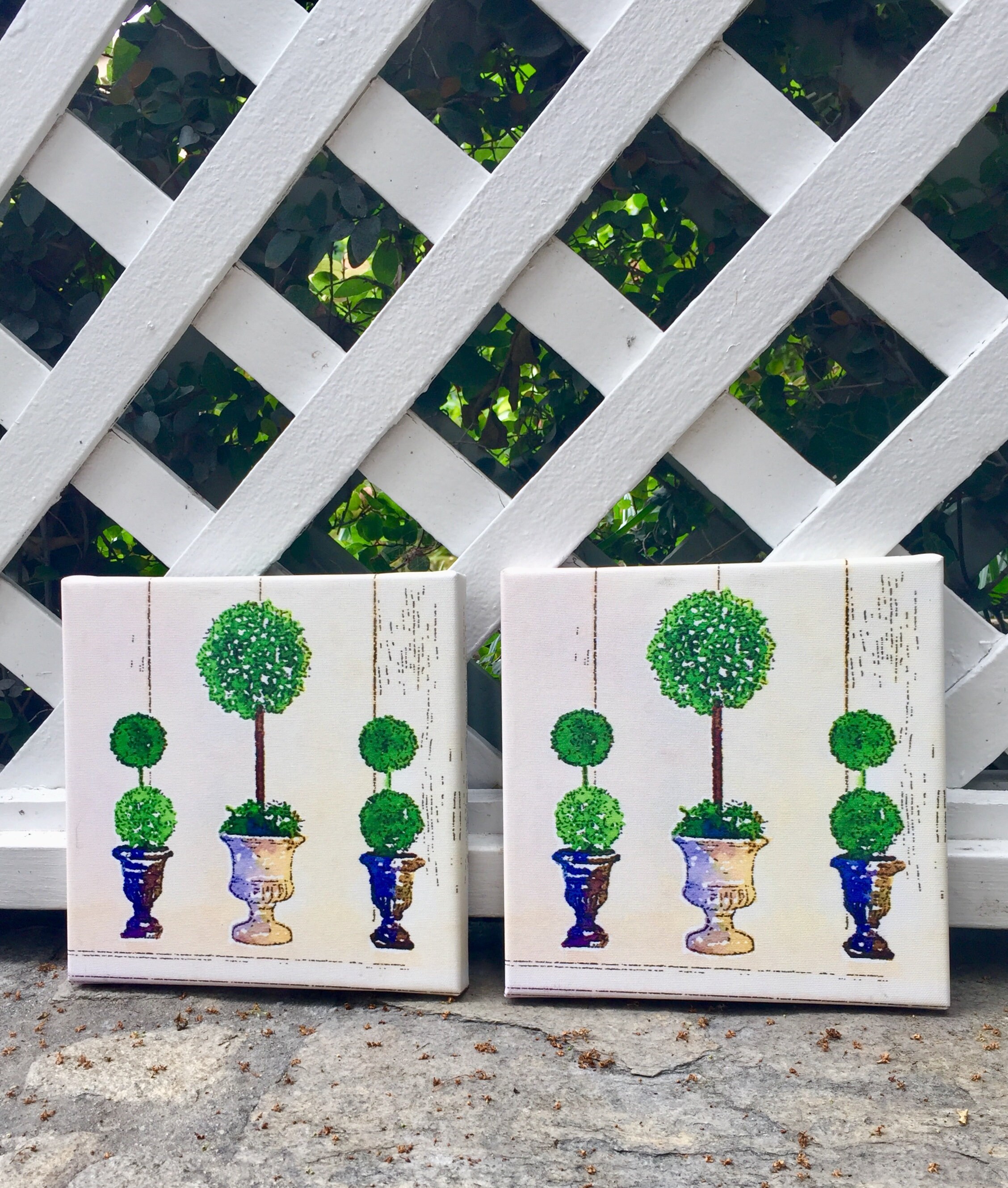 Topiary Print on Canvas - Etsy