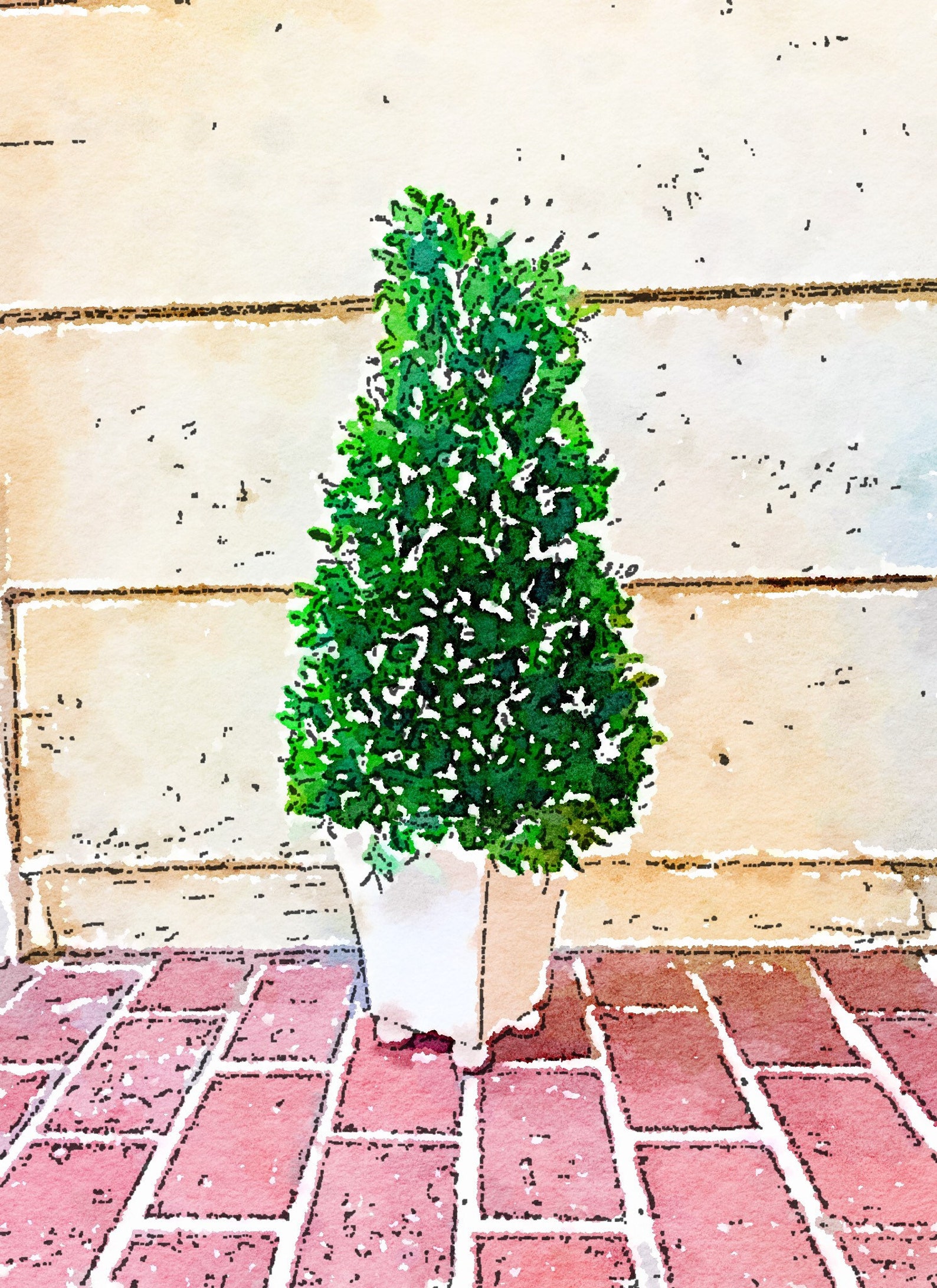 Topiary Print on Canvas - Etsy