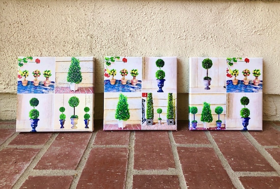 Topiary Prints on Canvas - Etsy