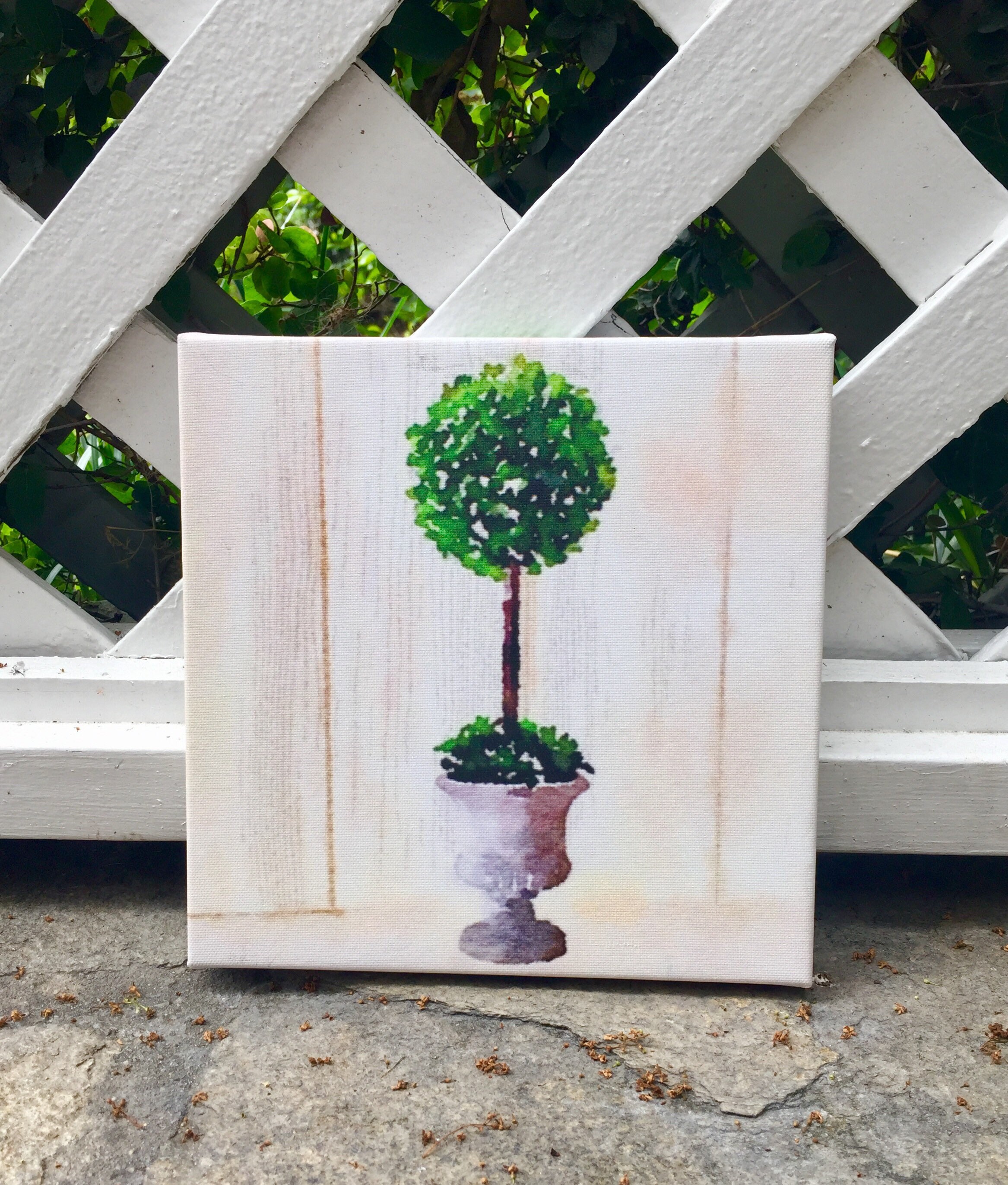 Topiary Print on Canvas - Etsy