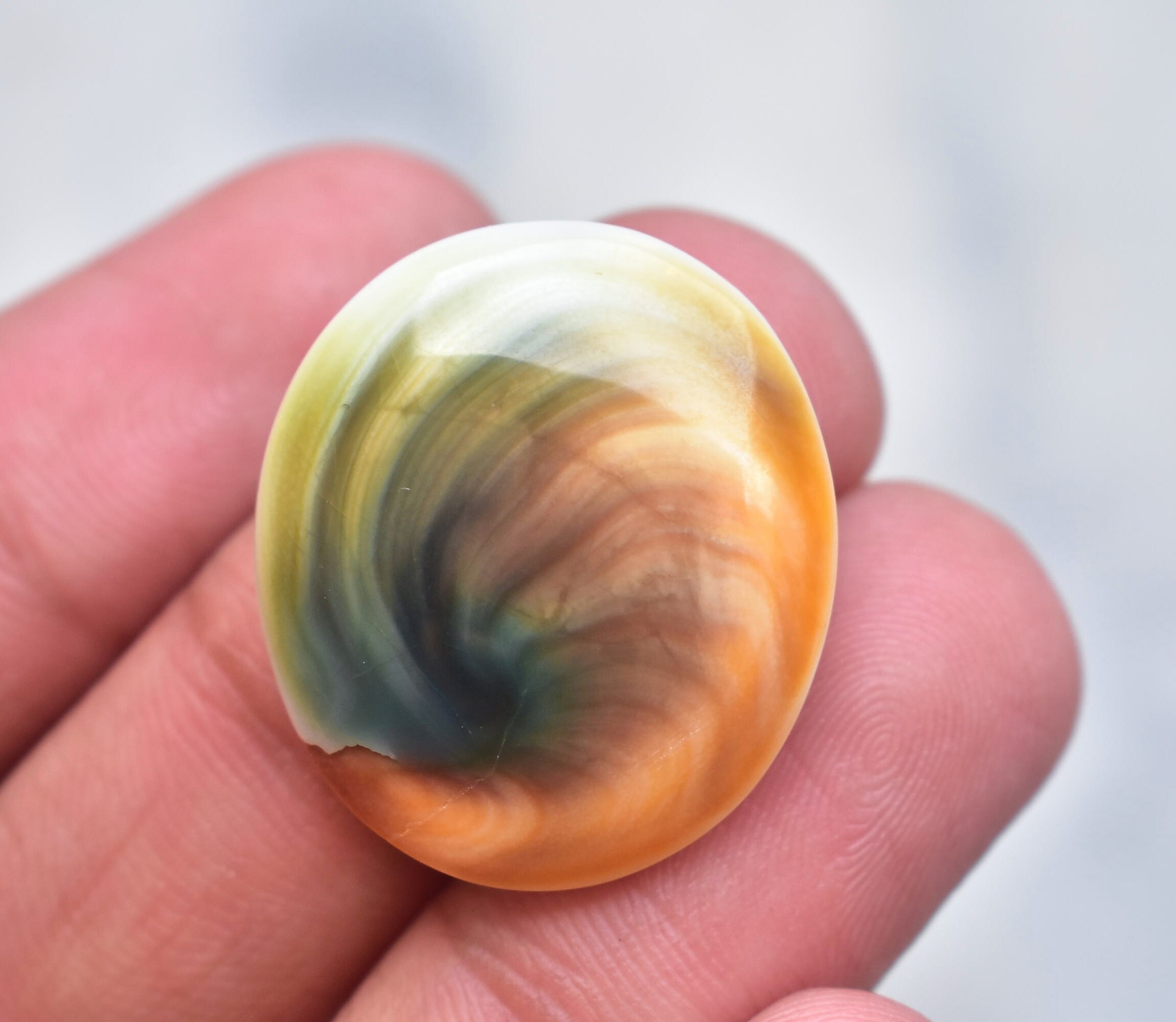 Jewelry & Beauty Shiva Eye Shell Gemstone Heart Shape Loose Shiva Eye ...