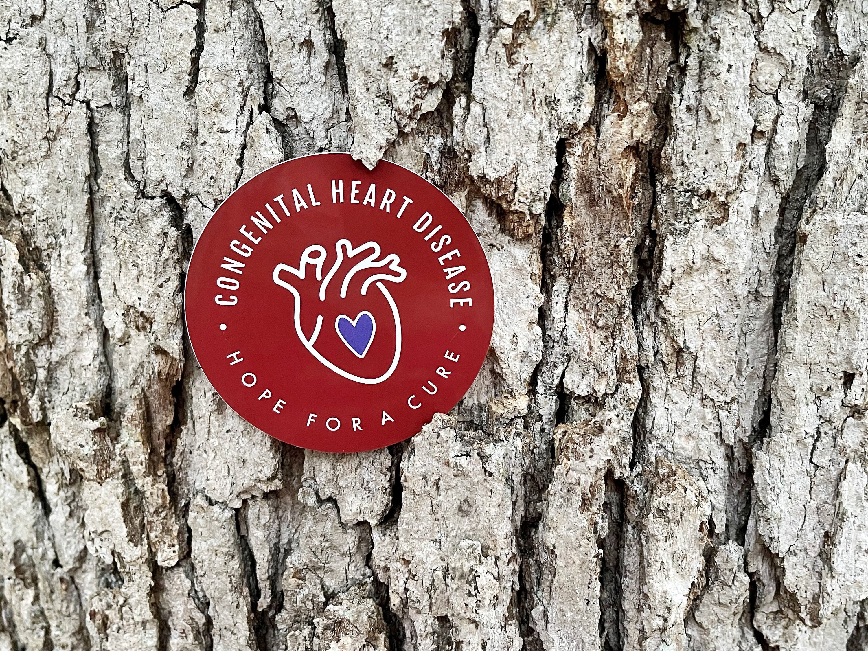 Congenital Heart Defect Awareness Stickers - Etsy