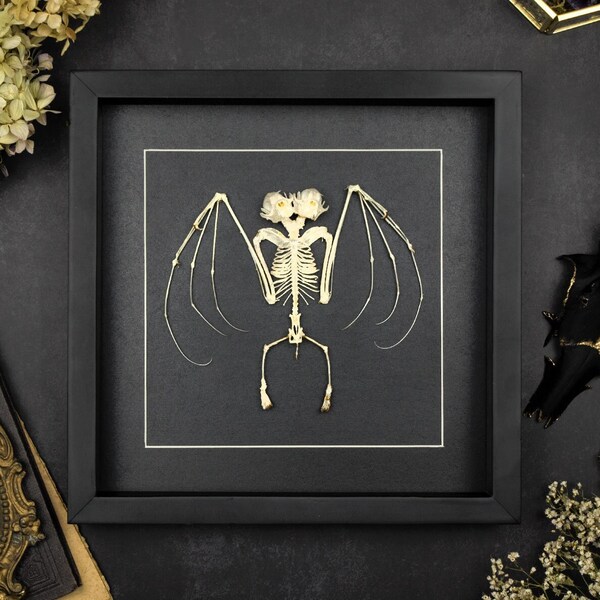 Two Headed Skeleton - Etsy