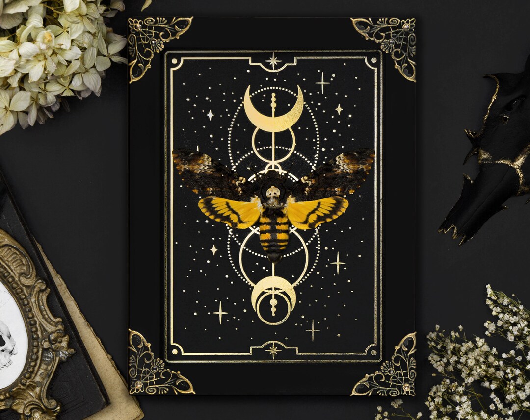 Death Head Moth Shadow Box Frame Acherontia Gold Celestial Butterfly ...