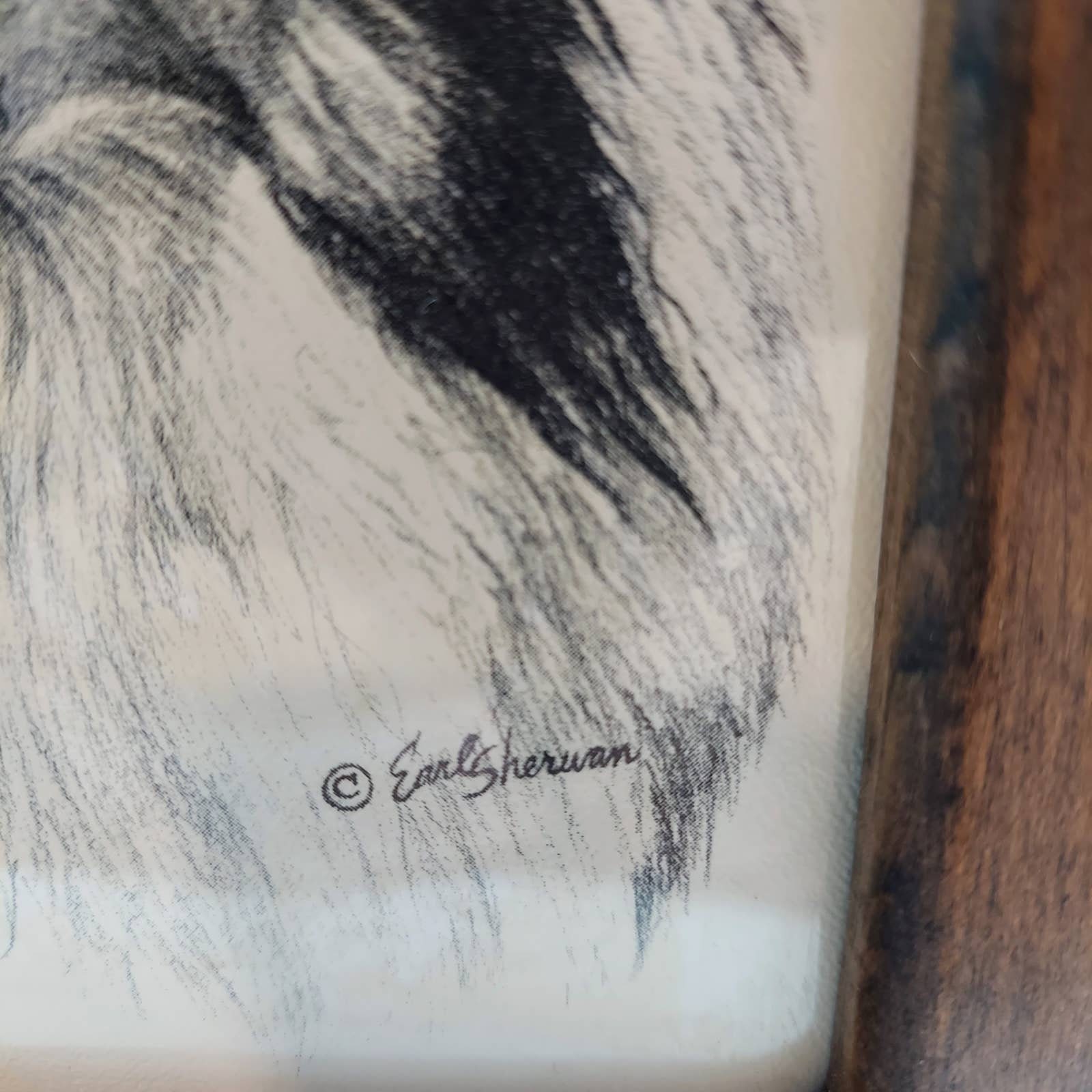 Earl Sherwan Sheltie Collie Dog Art Print Wood Frame 5.5 X 6.5 Black ...